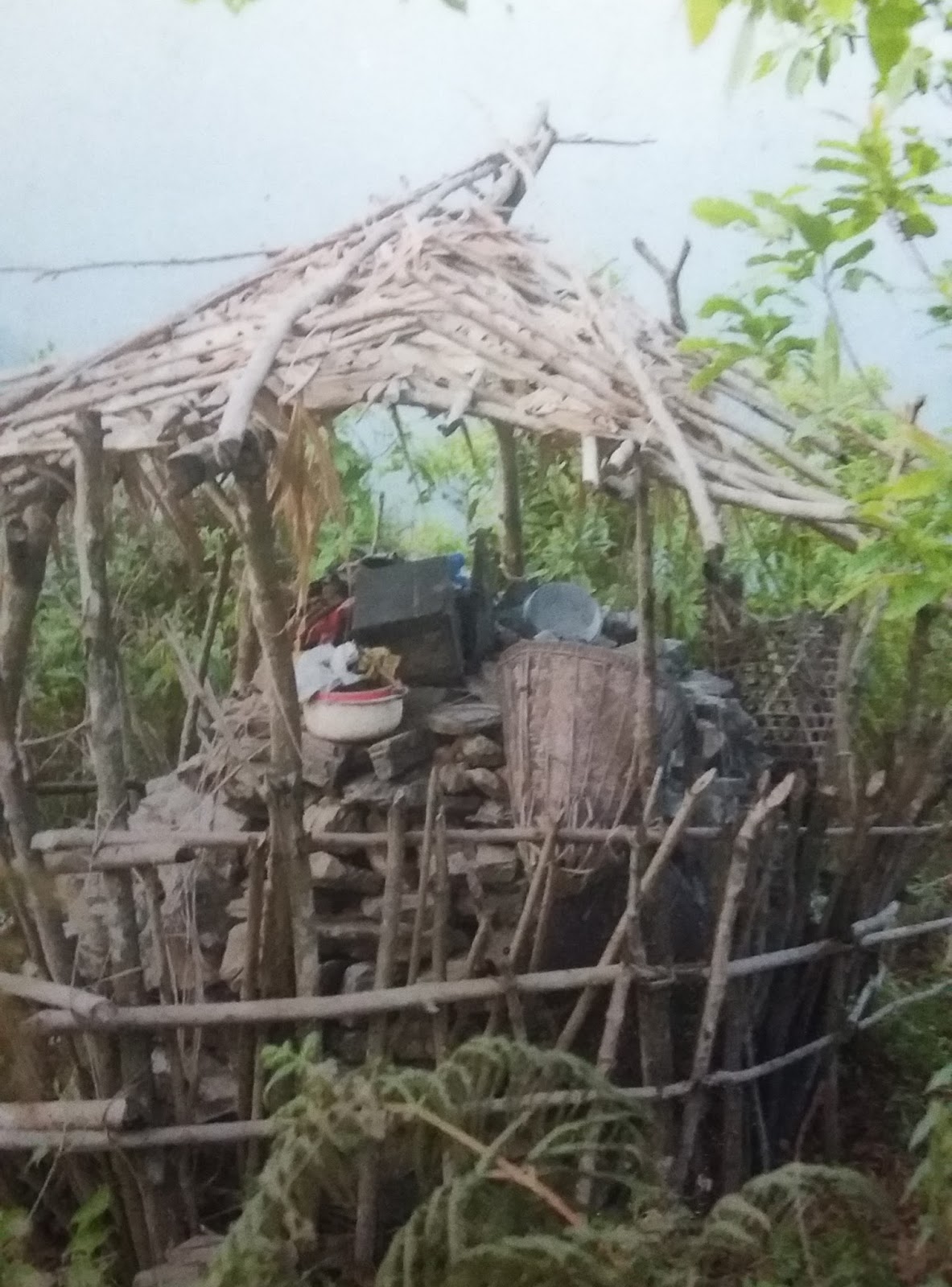 Astee's memoir: Deep into the Lhop valley (Memories from an excursion ...