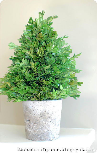 33 Shades of Green: Handmade Holidays: Fresh Boxwood Topiary Tutorial
