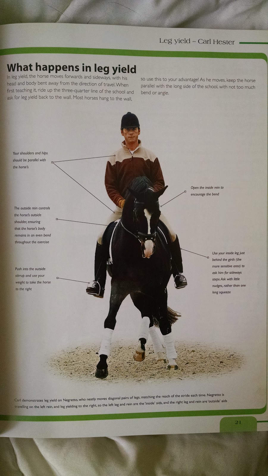 Incidents of Guidance: Expert Opinion: Leg-Yielding