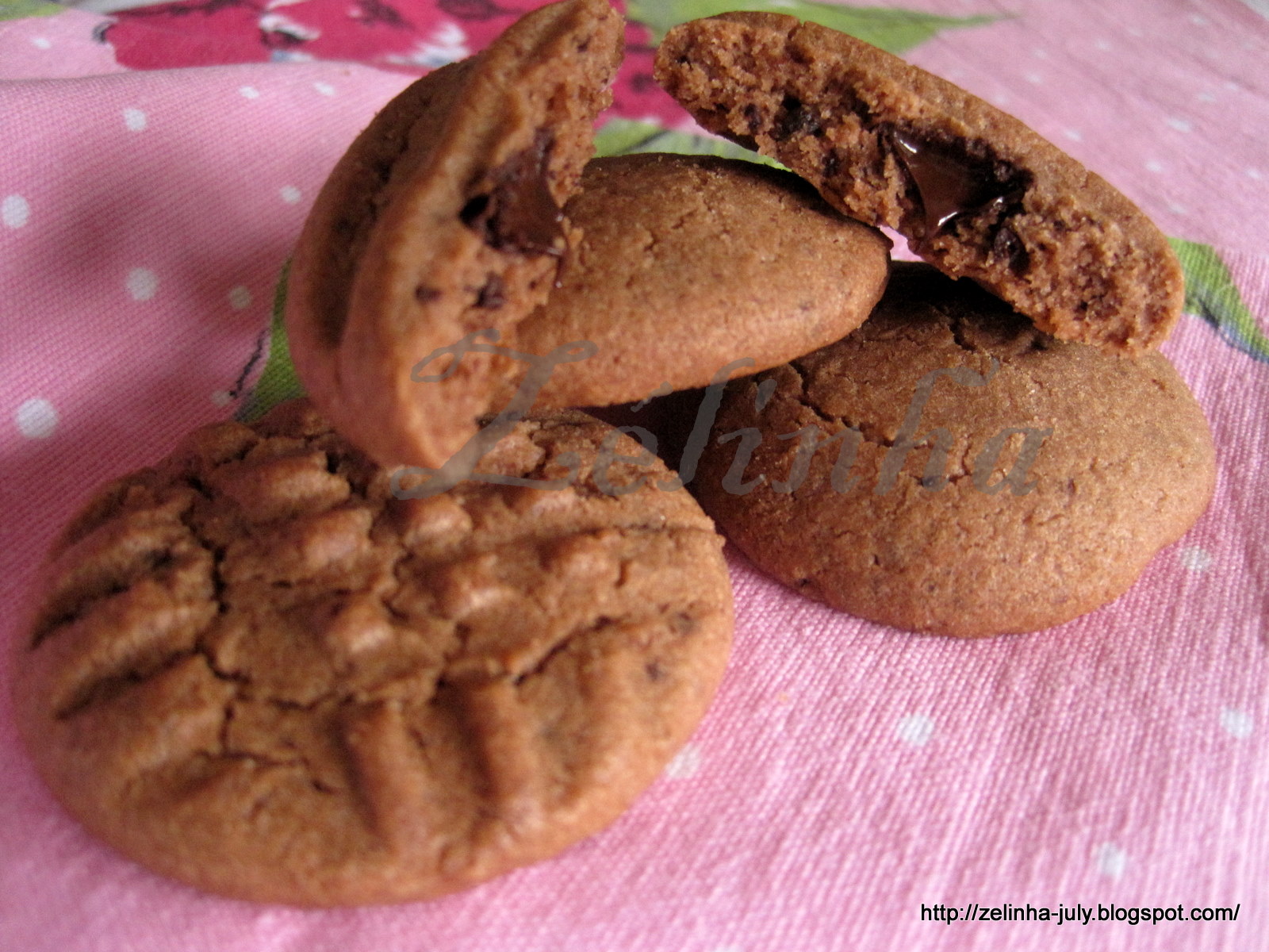 BISCOITOS DE CHOCOLATE