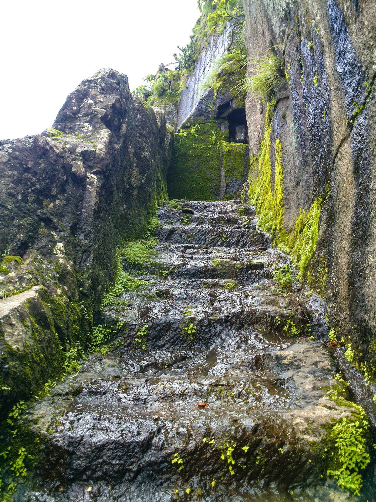 Dhodap - JungleKey.in Image