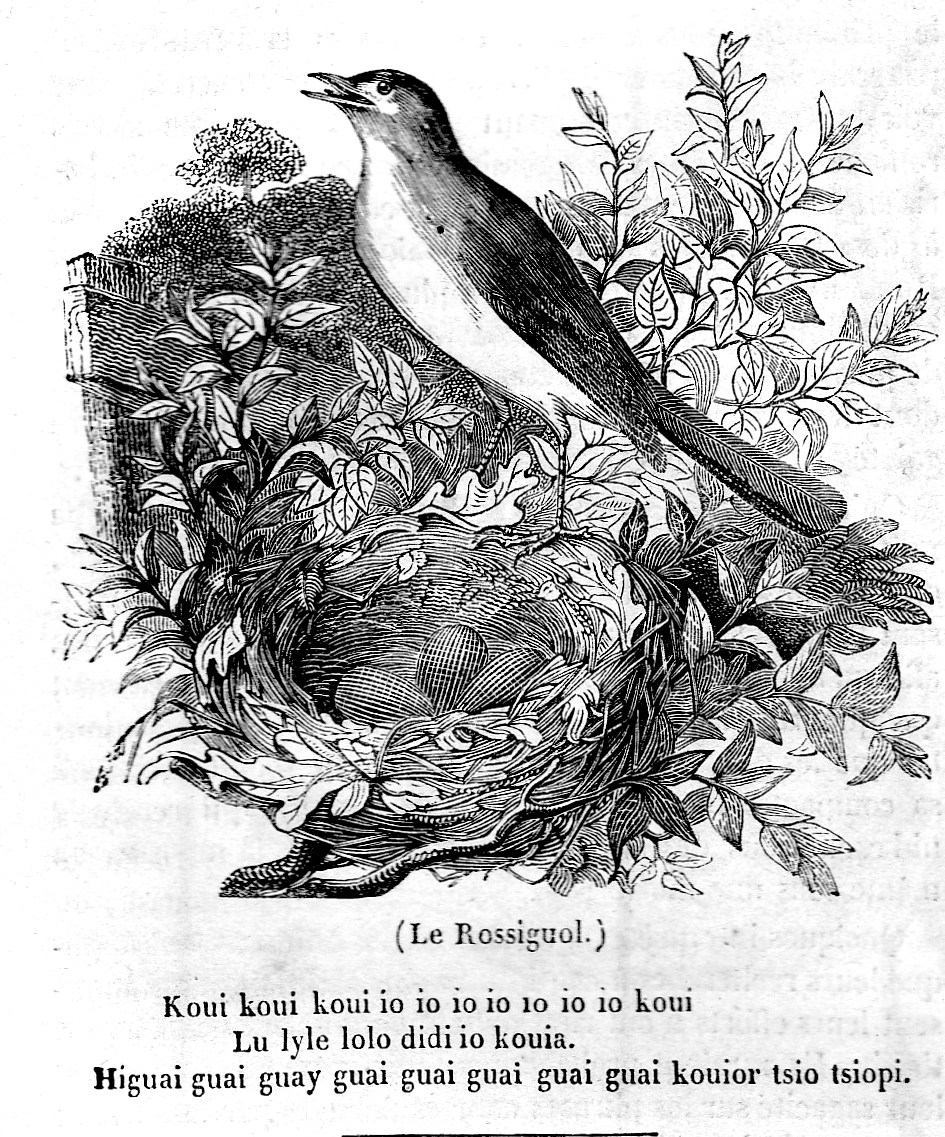 Chroniques du temps passé: Le rossignol.