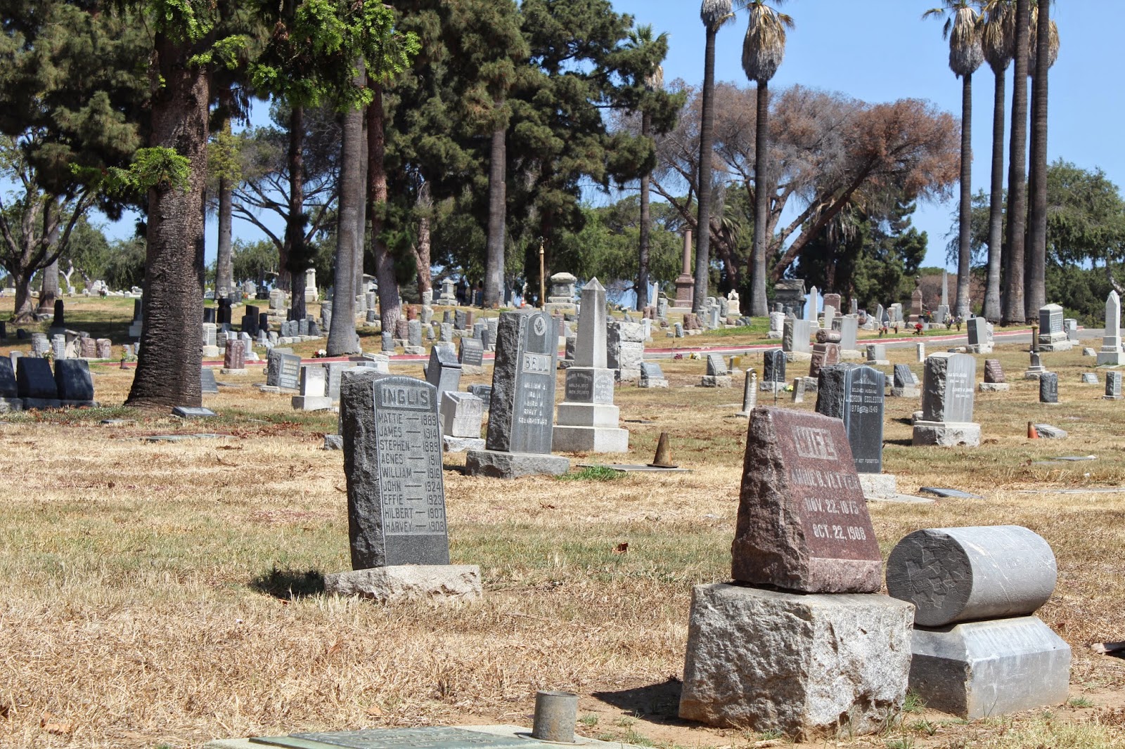 Set-Jetter & Movie Locations and More: Predator 2 (1990)