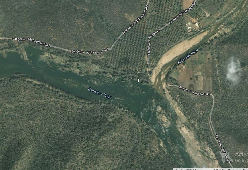 Jeevan's KALLI VALLI : The Sangam Panther- A walk back