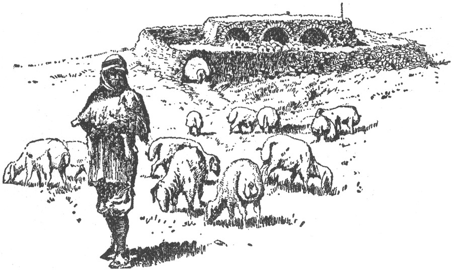 His sheep know His voice