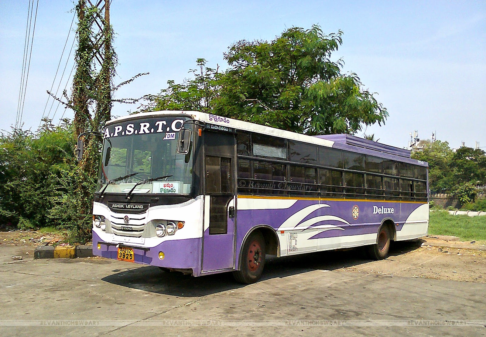 LOVE of Z: New DELUXE Buses