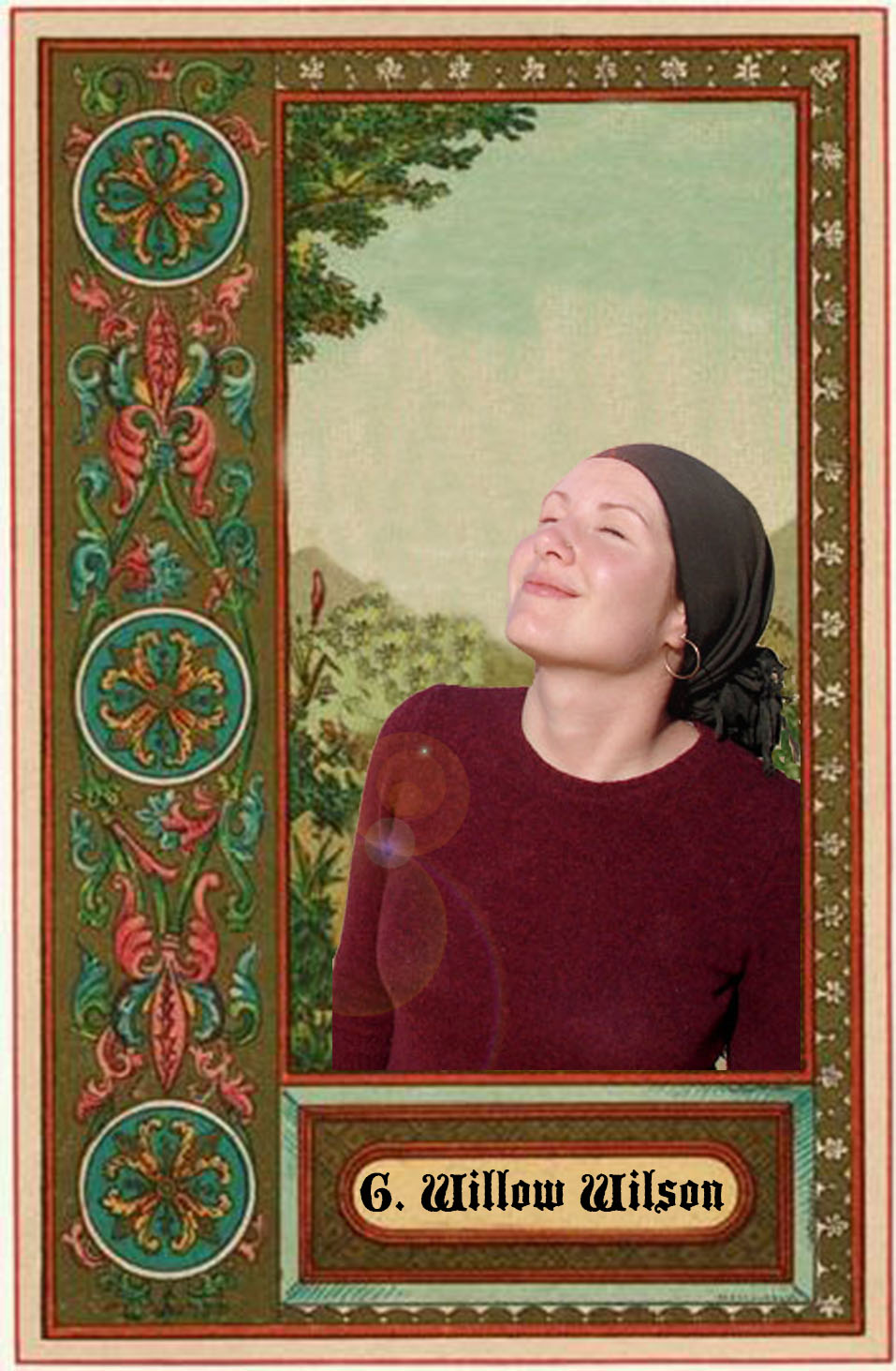 Plastic Heroines: G. Willow Wilson