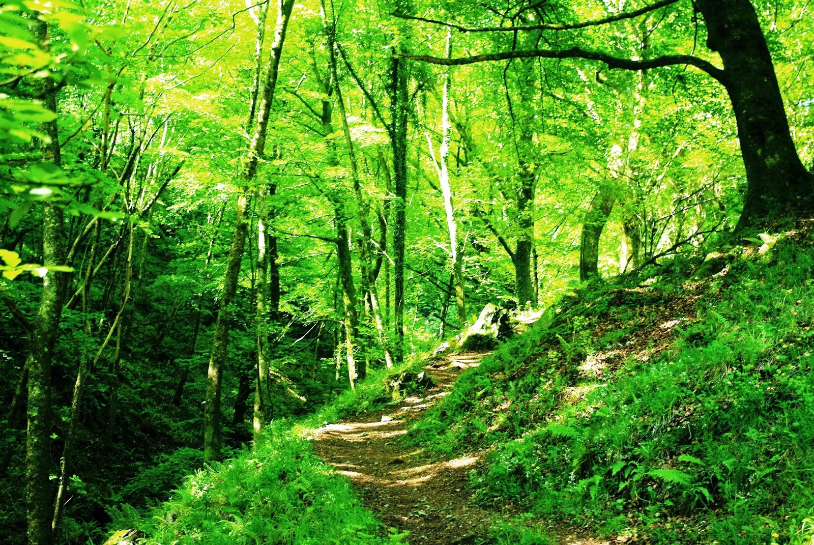 ASTURIAS para disfrutar: La Biescona: para disfrutar la Sierra del Sueve