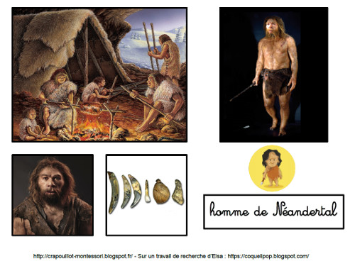 Crapouillotage: PREHISTOIRE : Loto des Hominidés