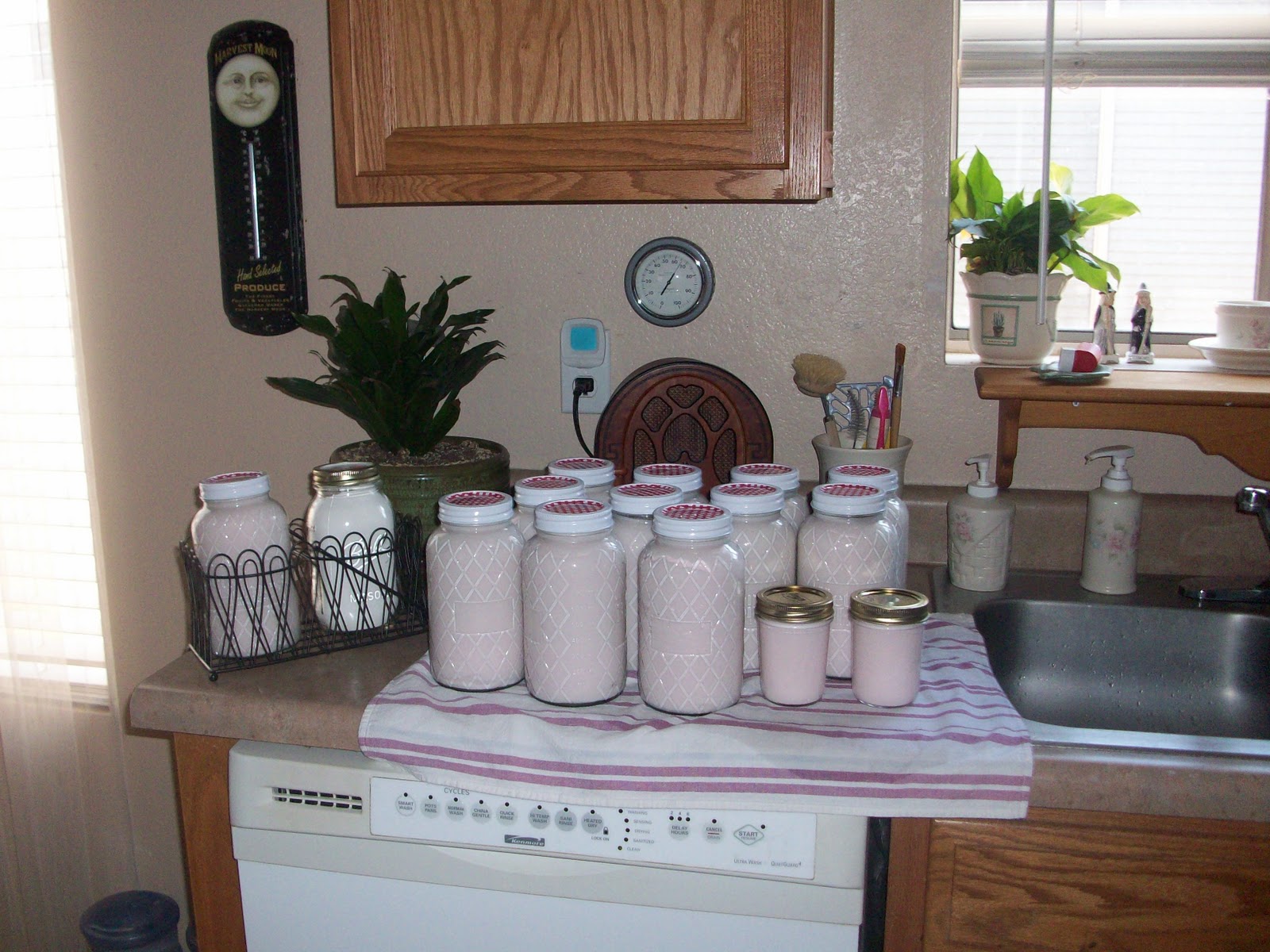 Tiny House Homestead: DIY: Home Made Laundry Soap