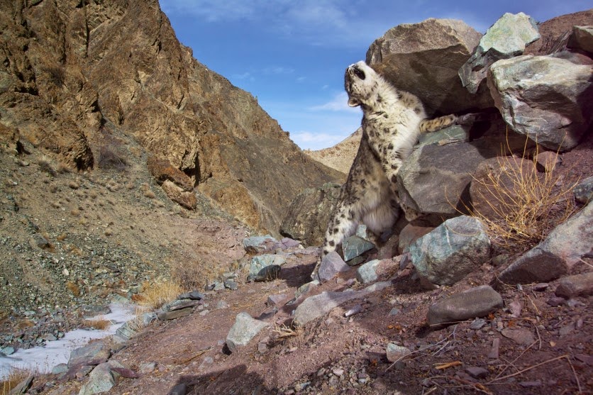 Ana García Photography: Steve Winter, Biografías de fotógrafos famosos 2014