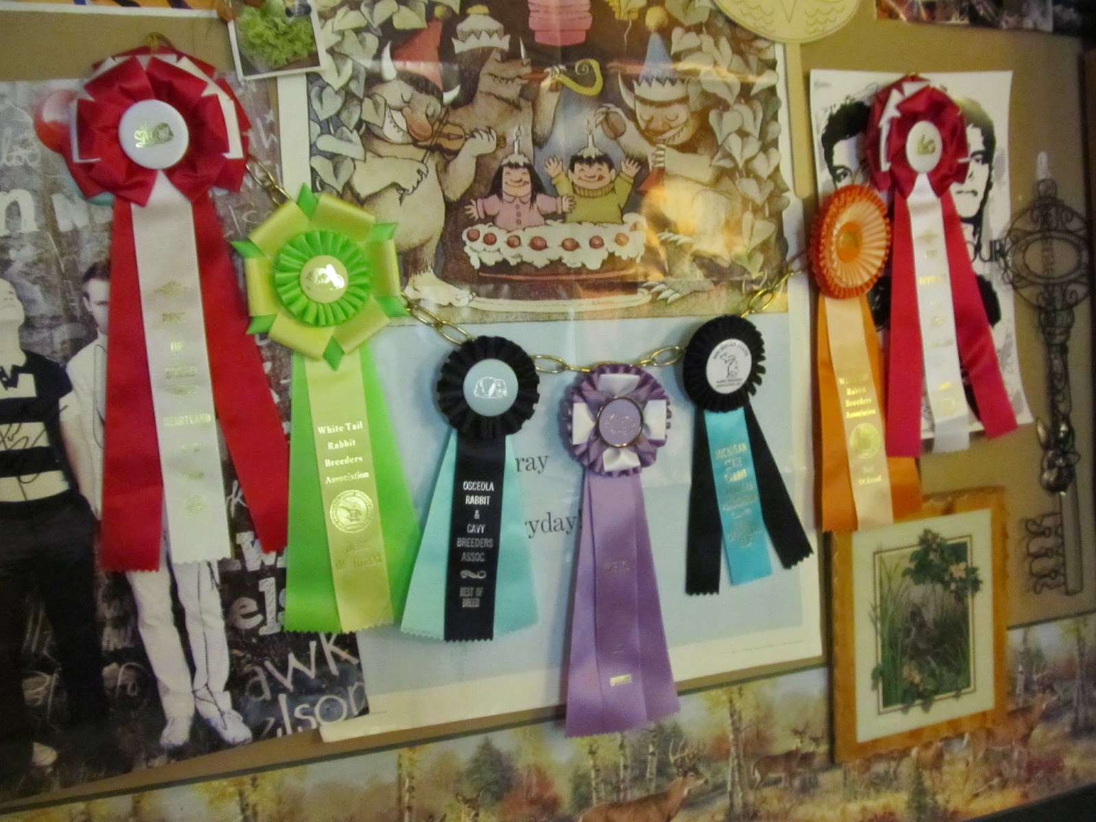 Rabbit in a Dress: Easy Show Ribbon Display