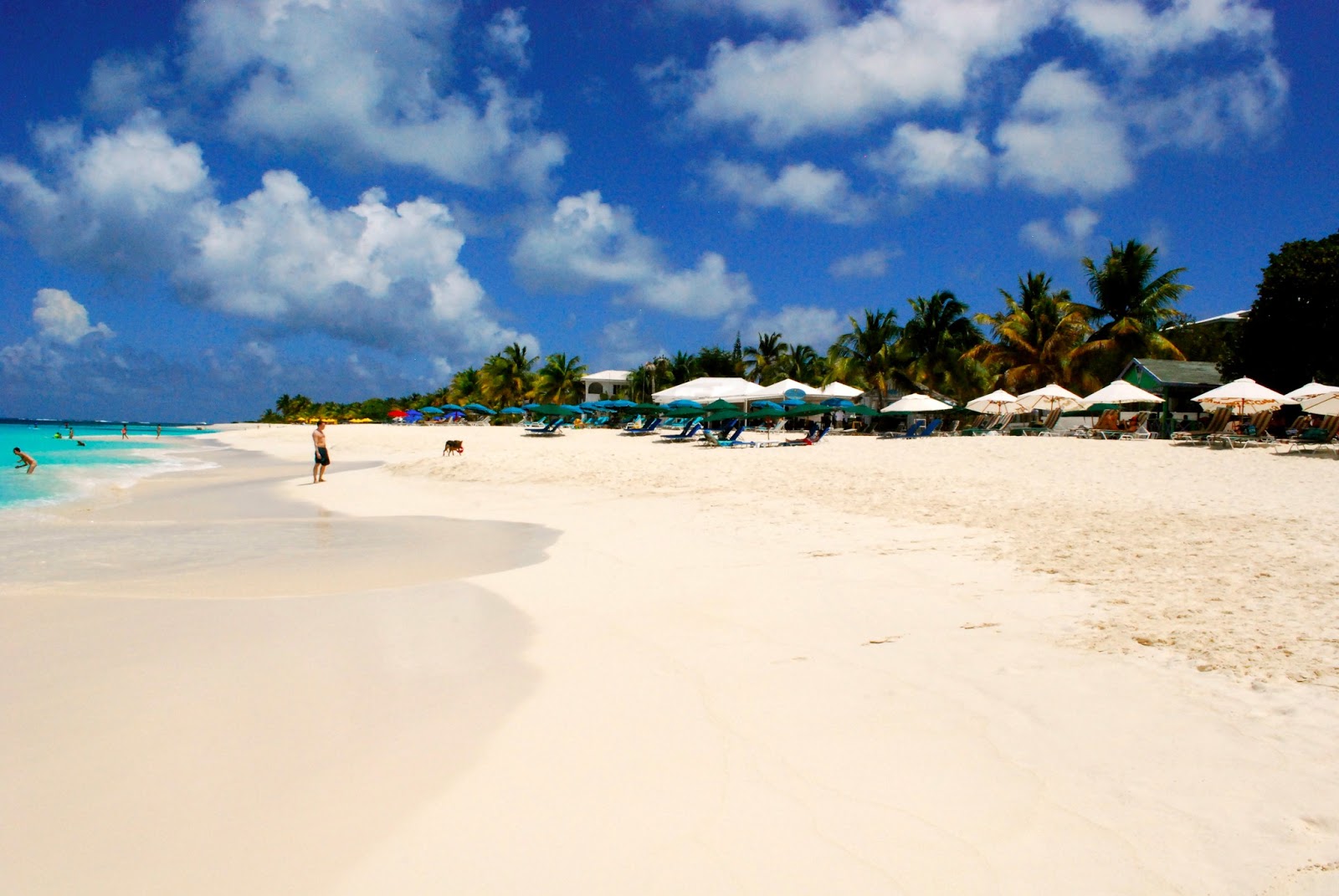 Wanderlust Traveler: Anguilla Day Trip