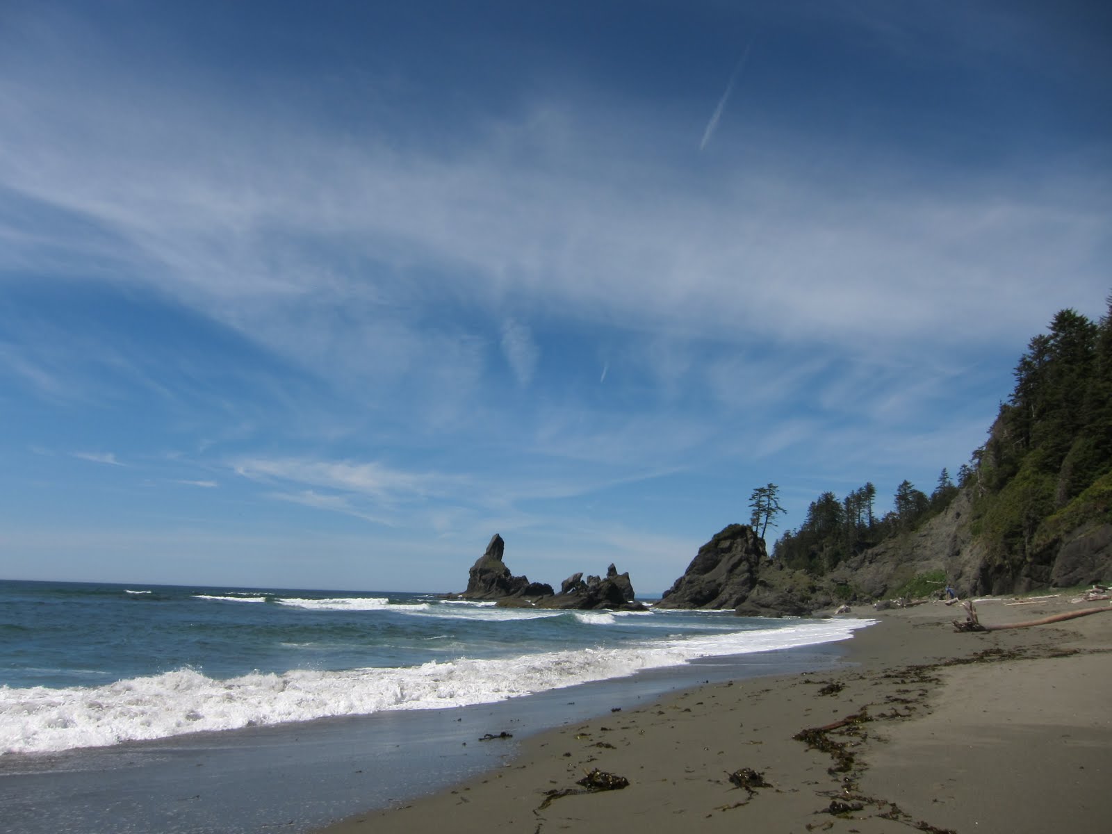 Nature's Playgrounds: Shi Shi Beach