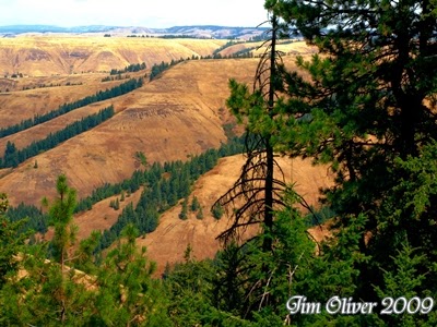 Jim Oliver's Oregon Landscape Images: Deadman's Pass, Blue Mountains ...
