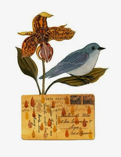 Pinzellades al món: Postals il·lustrades / Postales il·lustradas ...