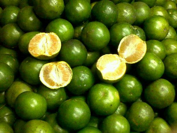 JERUK SIAM SUWANDI: ANDA INGIN MENDAPATKAN JERUK SIAM YANG SEGAR