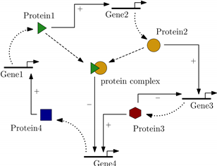 Visualizing Biological Processes: Gene Regulation Networks (GRNs): What ...