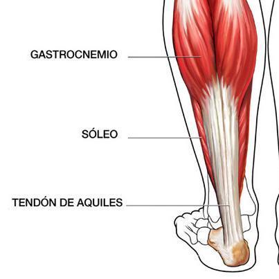 Tecnicas Especiales En Fisioterapia: Estiramientos Activos y Pasivos ...
