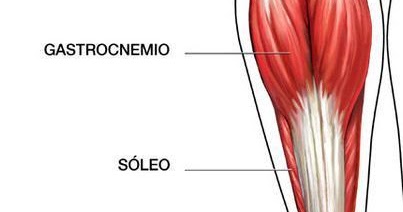 Tecnicas Especiales En Fisioterapia: Estiramientos Activos y Pasivos ...