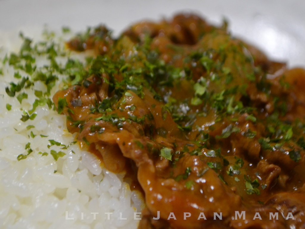 little japan mama : Hayashi Rice