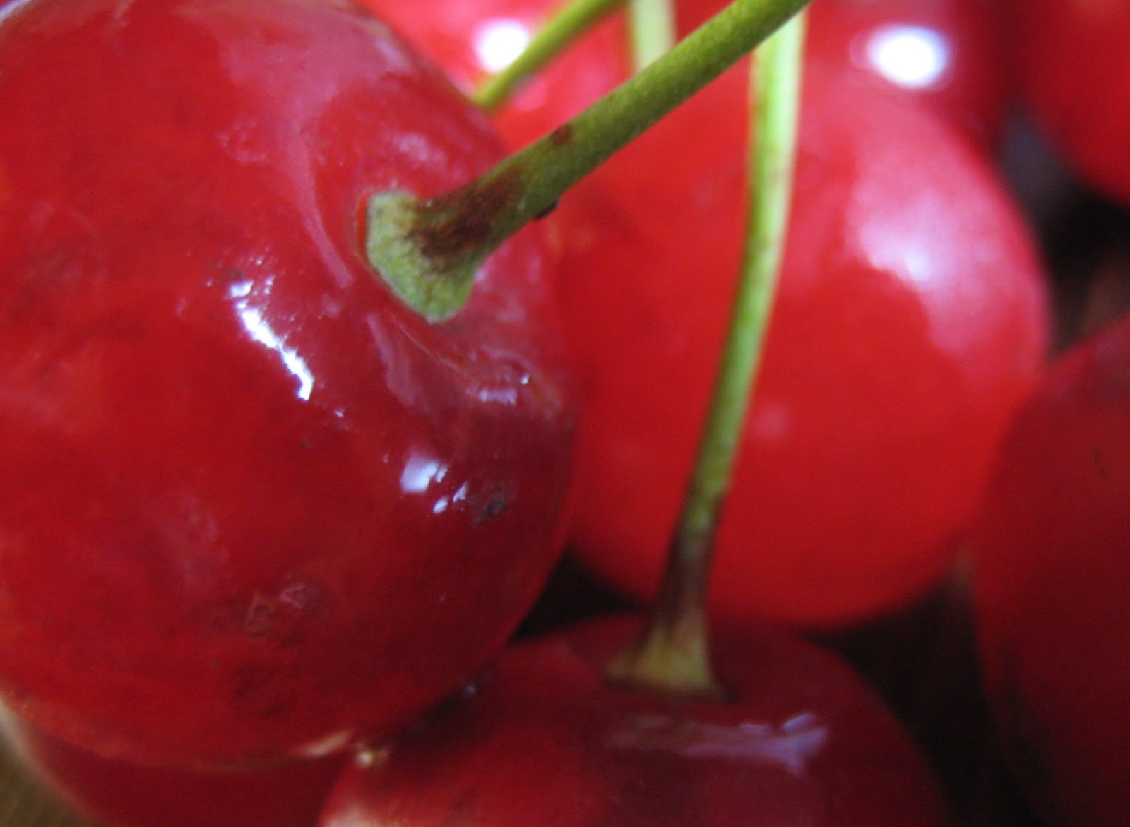 Roasted Sour Cherries – Hella Delicious Food