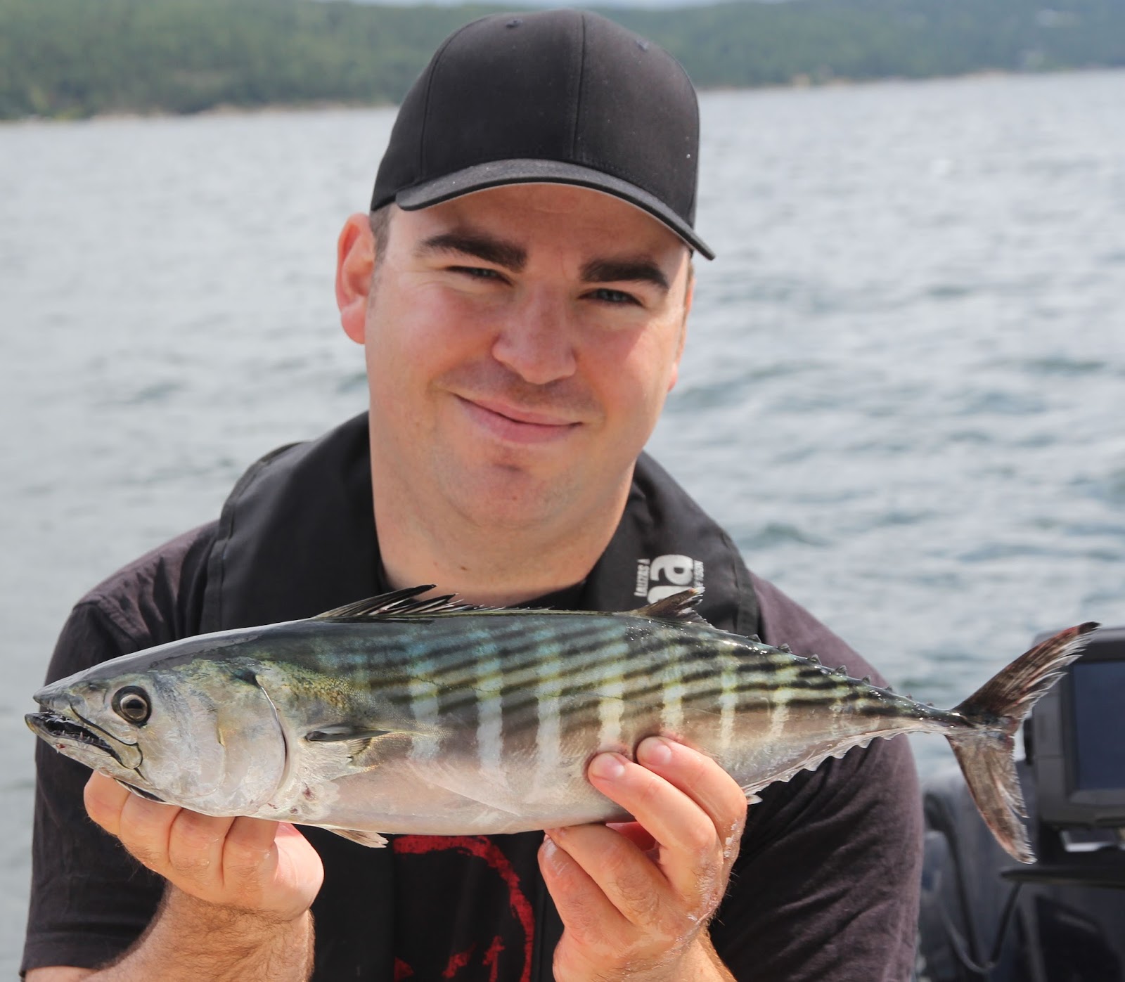 Arts- og specimenfiske: Art nummer #111 - Stripet pelamide (Bonito)