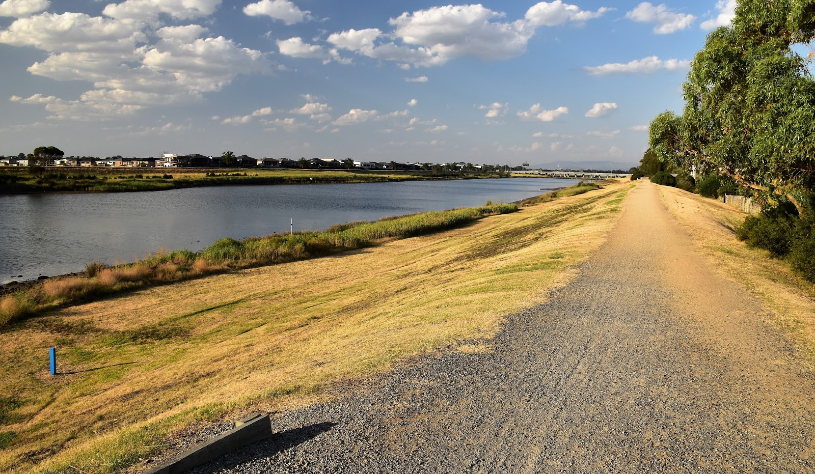 Goin' Feral One Day At A Time: Patterson River - February 2019