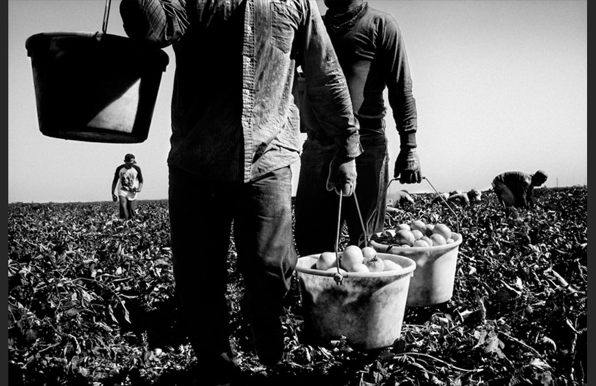 VI.EFFE: Matt Black Photographer