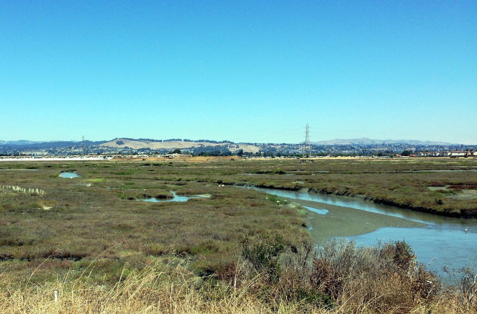 Oceanview bicycling journal