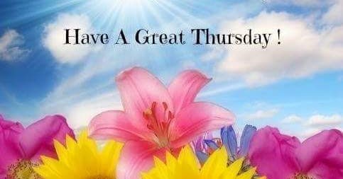 BlessOurHearts: Have a great Thursday