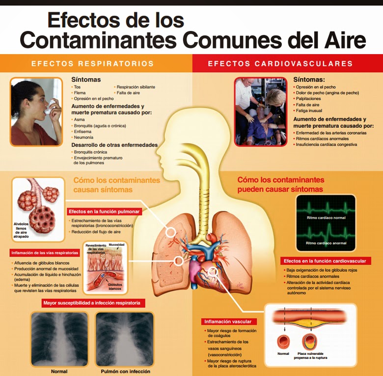 La Contaminación del Aire: Efectos De La Contaminación Del Aire En La Salud