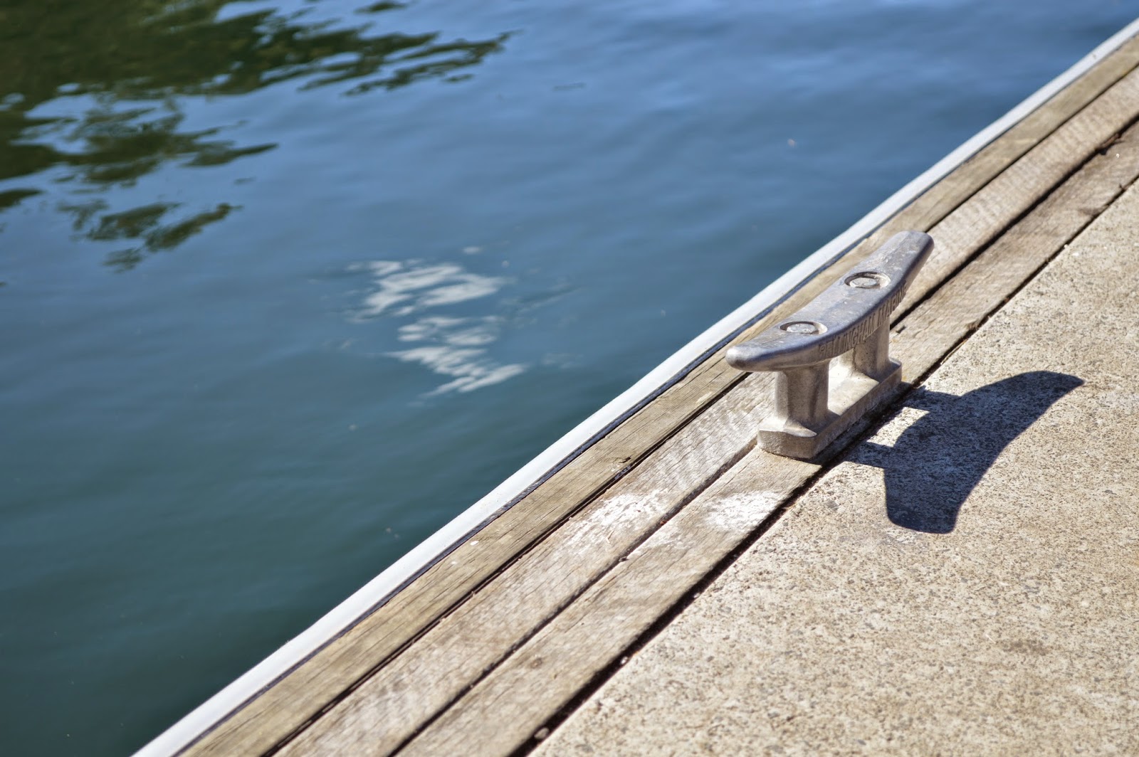 Lachlan Williams Portfolio