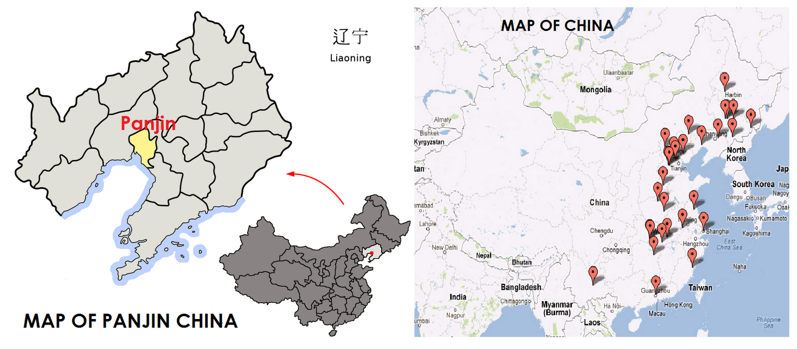 SOLYMONE BLOG: BEACH CALLED 'A SEA OF RED' IN CHINA?