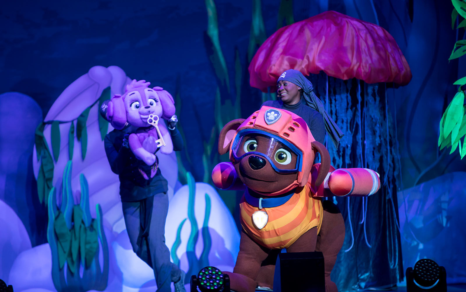 NickALive!: X Barks the Spot in PAW Patrol Live! "The Great Pirate ...