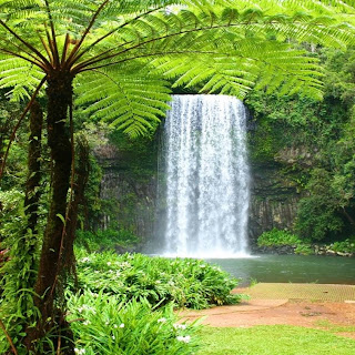 Epitome: From Nature To Glory By Grace