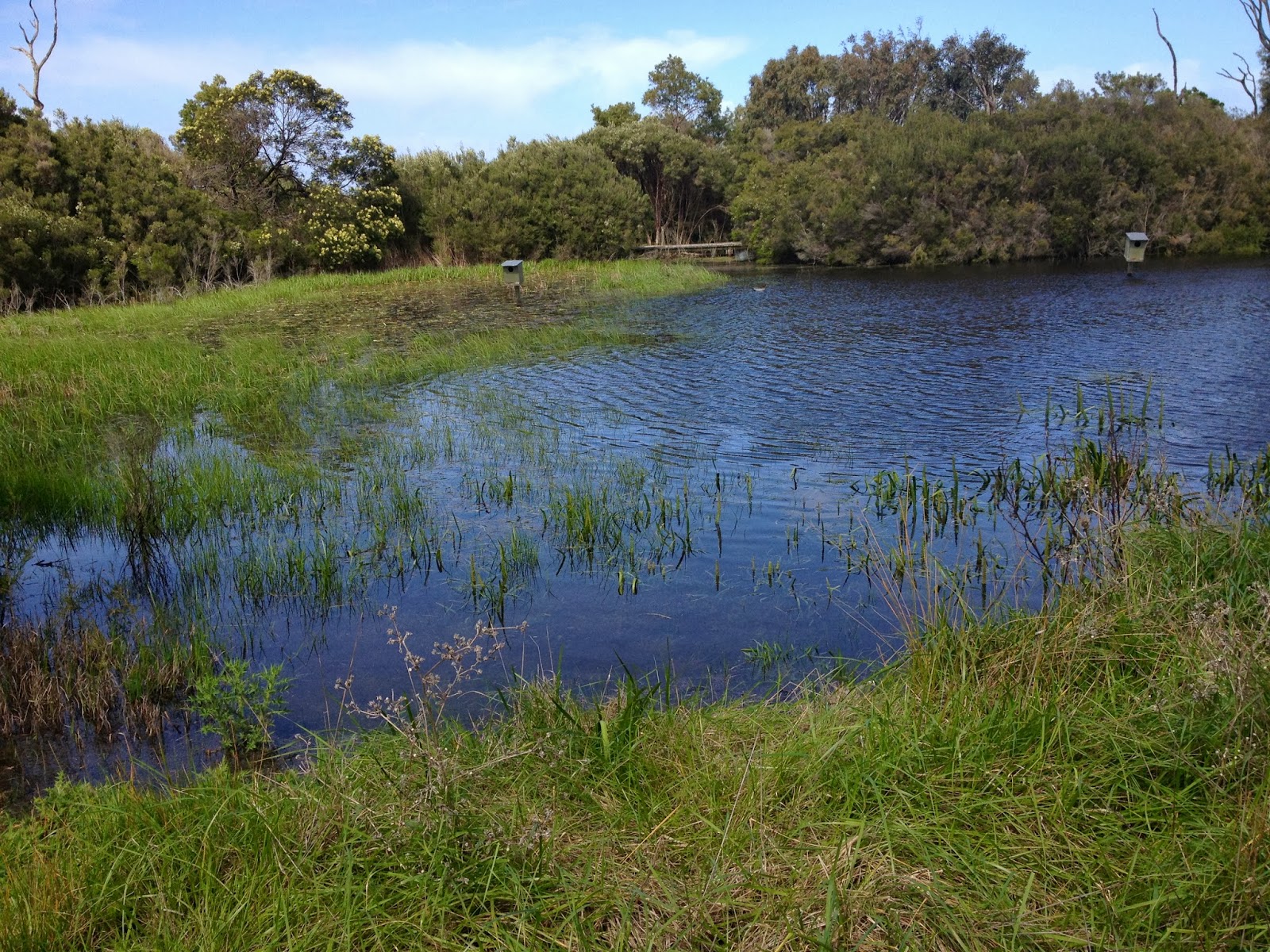 walkabouters club of victoria inc: Braeside Park - Edithvale-Seaford ...