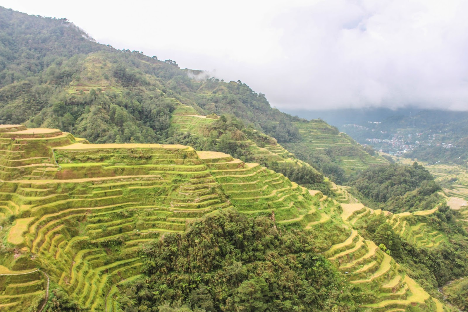 Ikalahan: Mt. Amuyao | Stairway to Heaven