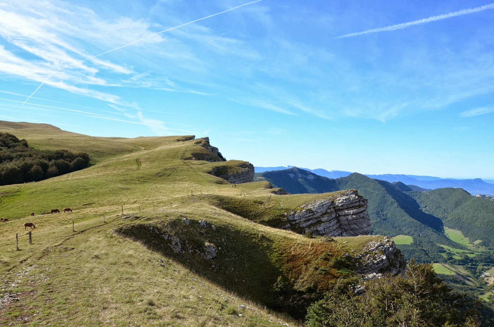 Balades au cœur du Dauphiné: Tête de La Dame sur le Plateau d'Ambel