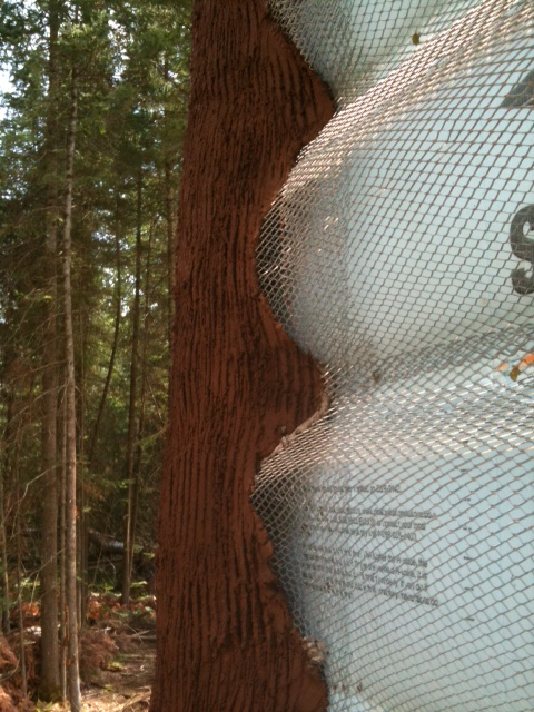 River's Edge Project: Perma Log siding adds to the uniqueness of this home.