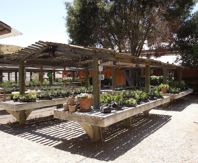 Paso Robles in Photos: Looking Back at Sycamore Farms and Fat Cat Farm