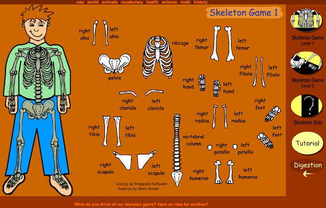 ¡estamos en 5º!: SKELETAL SYSTEM GAME!