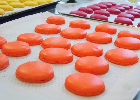 Emily's Recipes and Reviews | UK Food Blog | Leicestershire : macaron ...