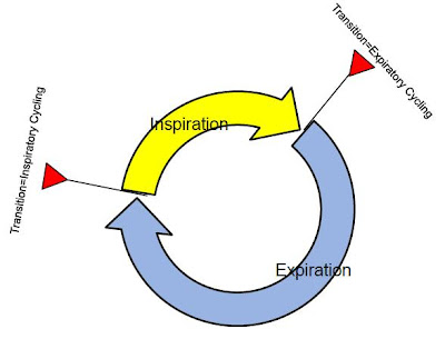 Biomedicalism: Medical Ventilation Machine