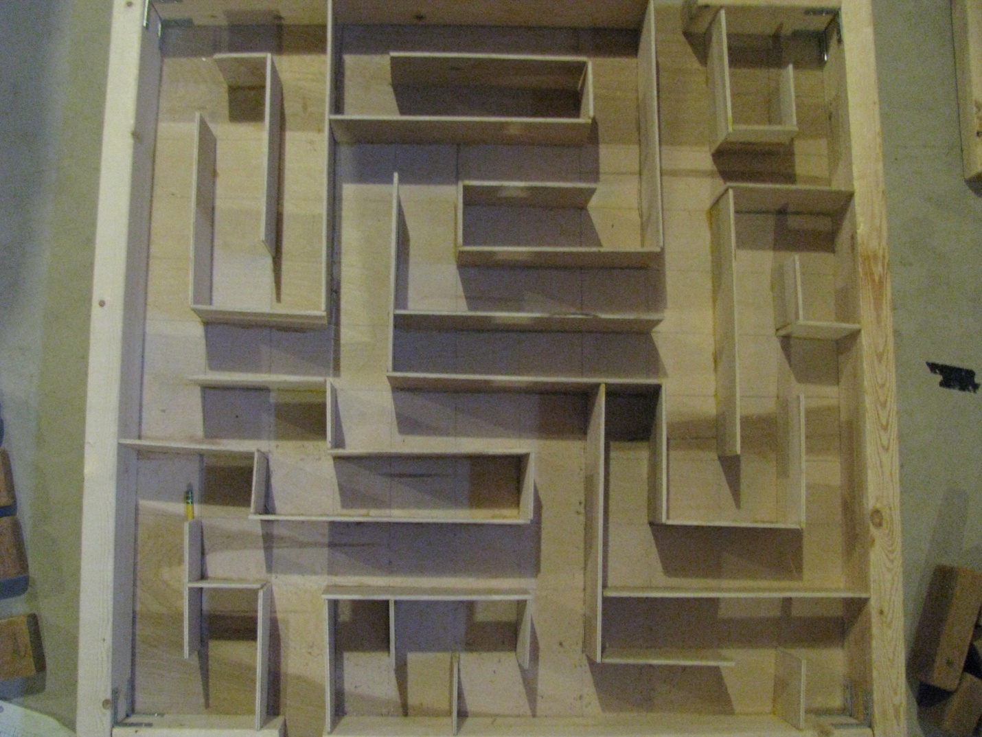 Project Mouse Maze: The Story of the Maze