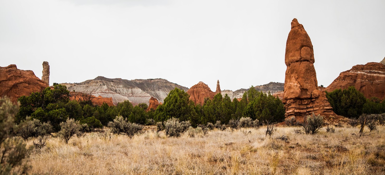 Walking Arizona: A Very Strange Landscape