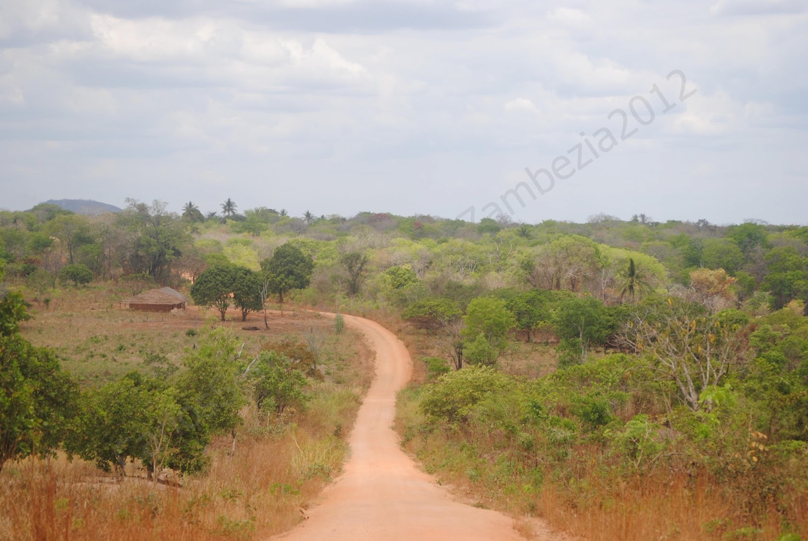 Diário de um sociólogo: Uma viagem ao distrito de Mulevala (Zambézia) (2)