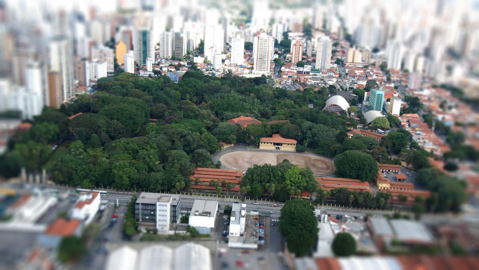 Perdizine: Things to do in Perdizes