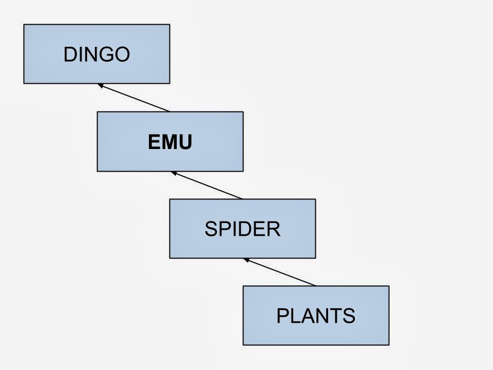bio diversity: science project