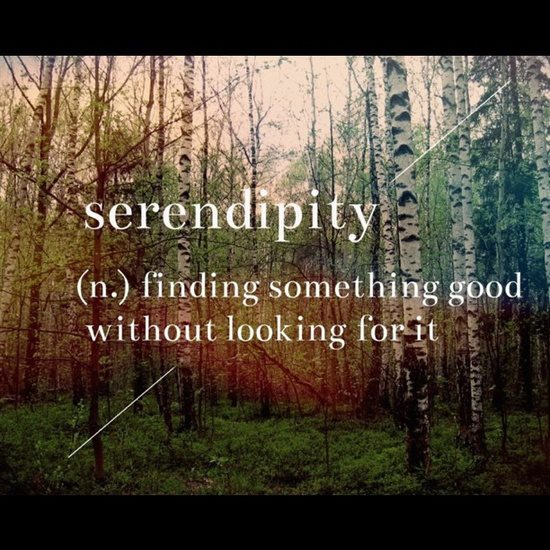 Click on: SERENDIPITY